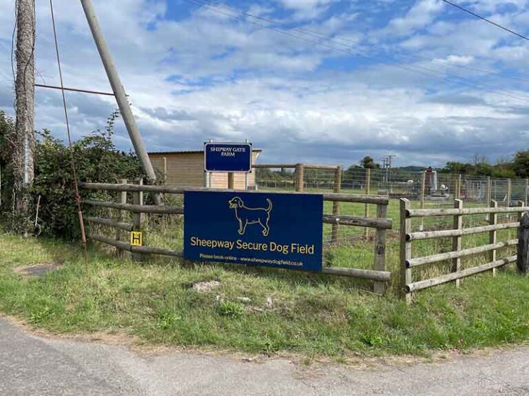 About the field - Sheepway Secure Dog Field - Portbury, Portishead ...