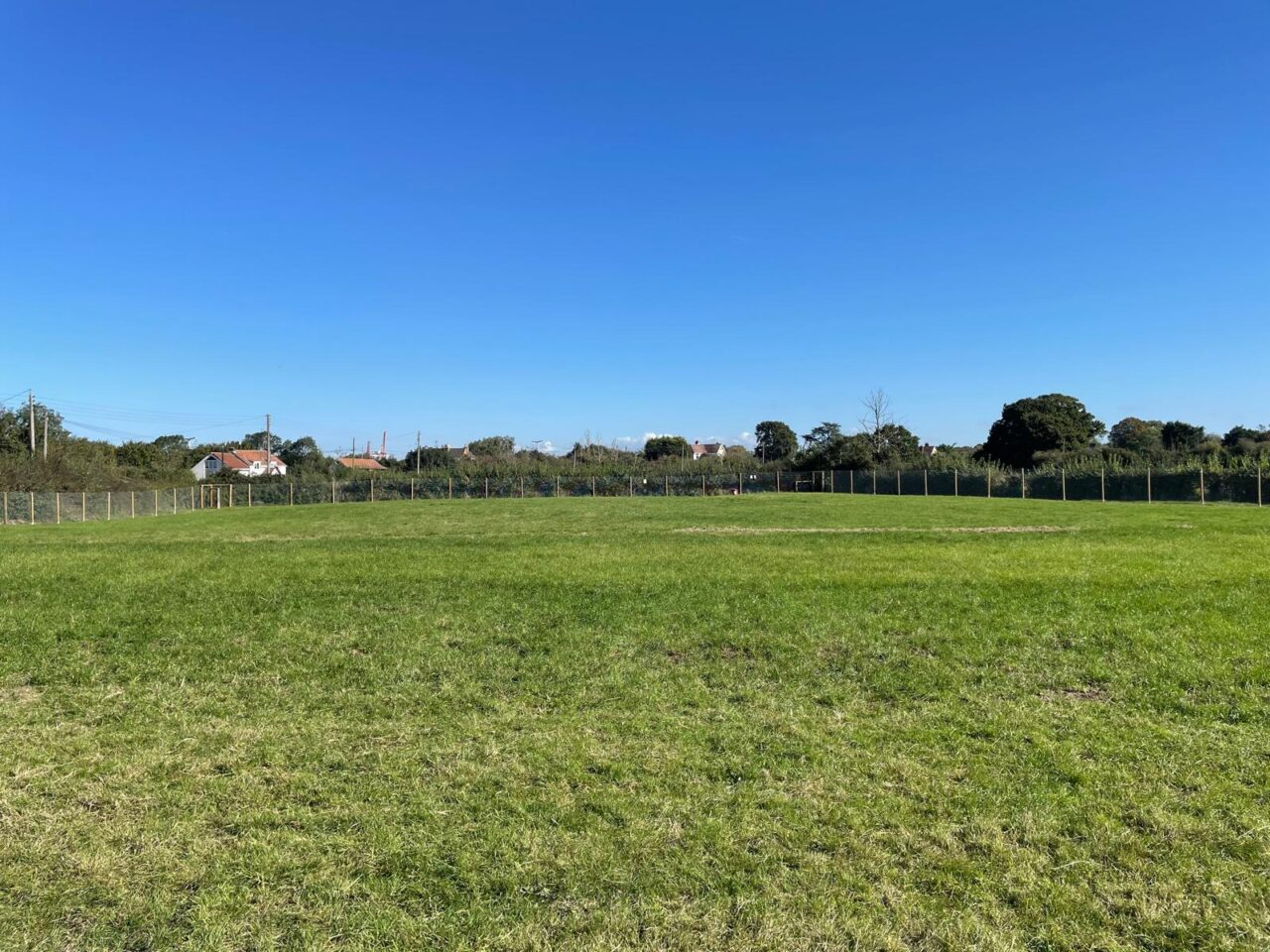 Home - Sheepway Secure Dog Field - Portbury, Portishead, Bristol ...